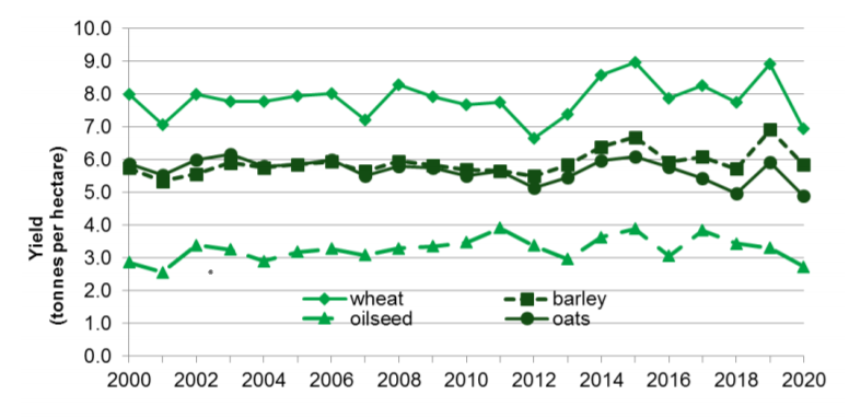 Wheat Yield Prospects for 2021 | The Yield Enhancement Network